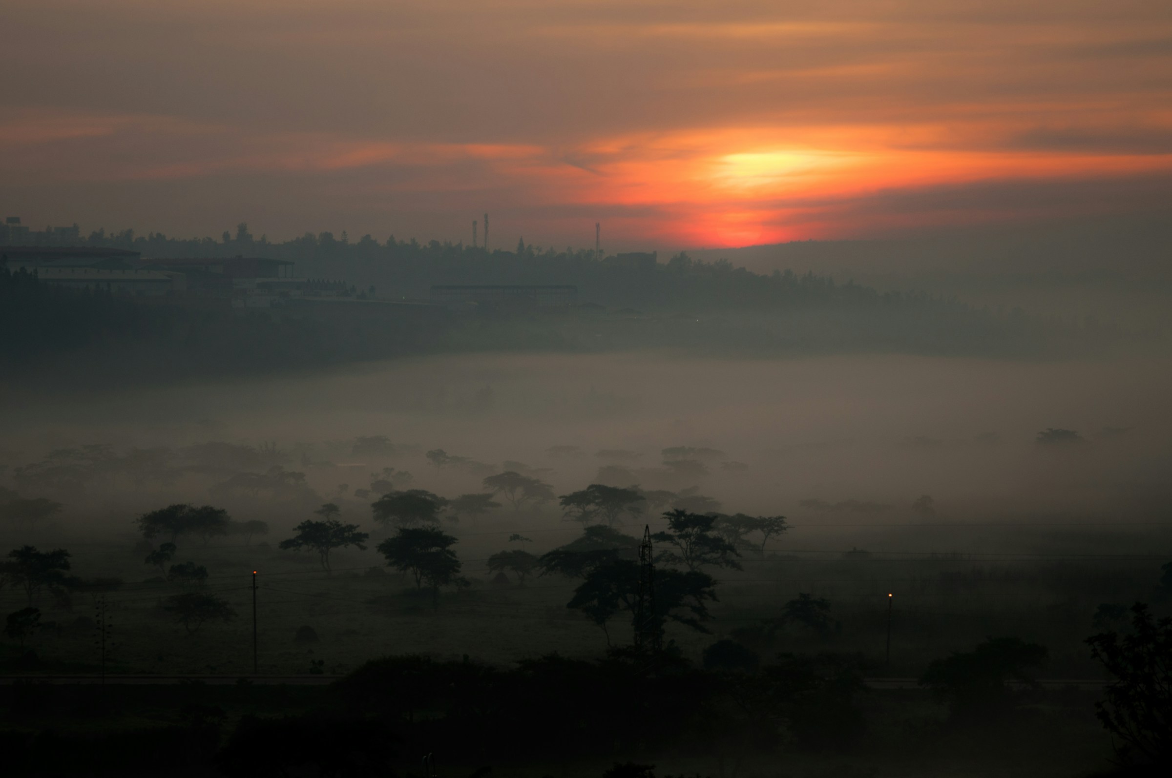 10-Day Best of Rwanda Safari Tour | Top Highlights