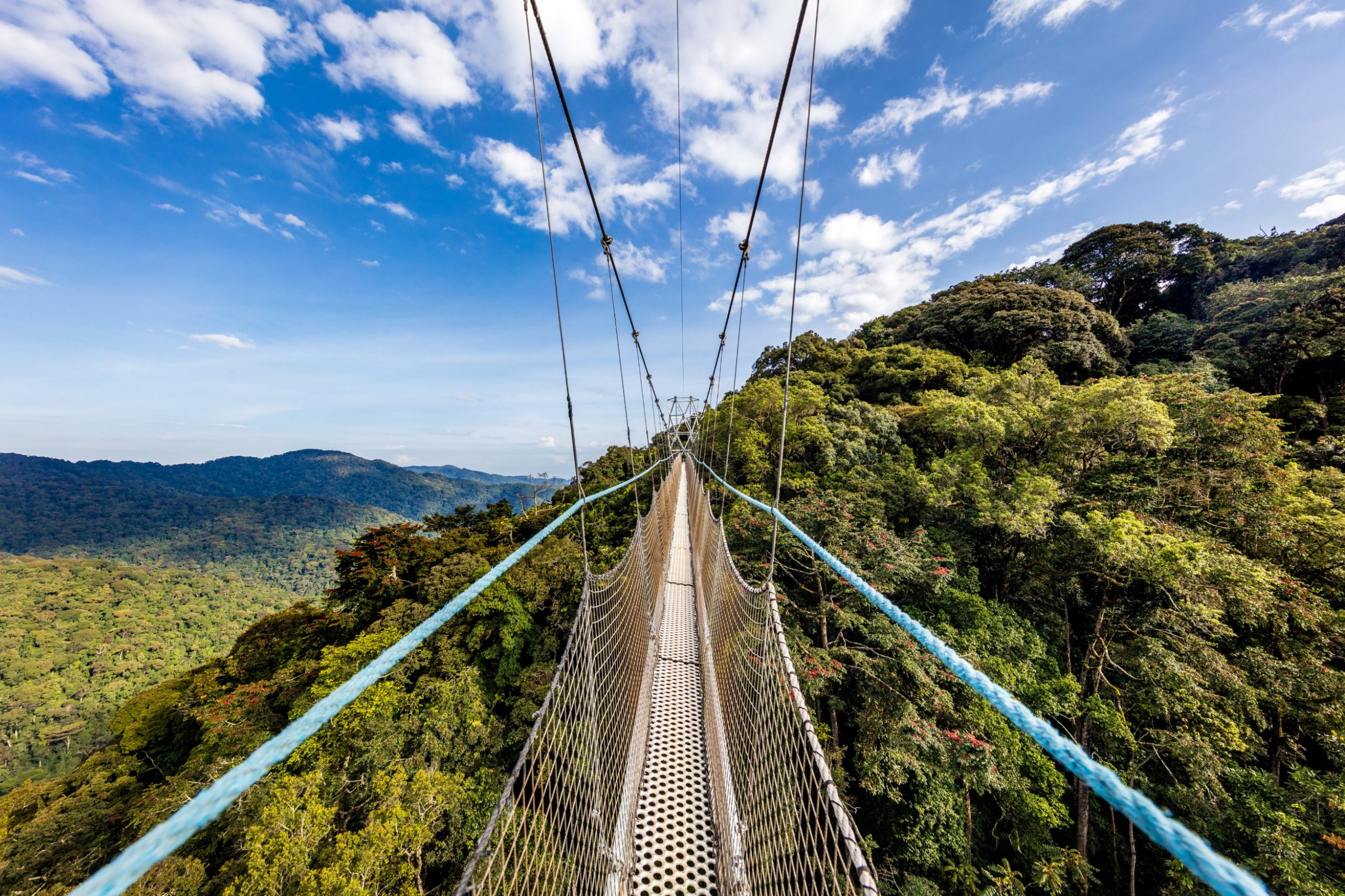 Contact Nyungwe Forest National Park | Email & Telephone