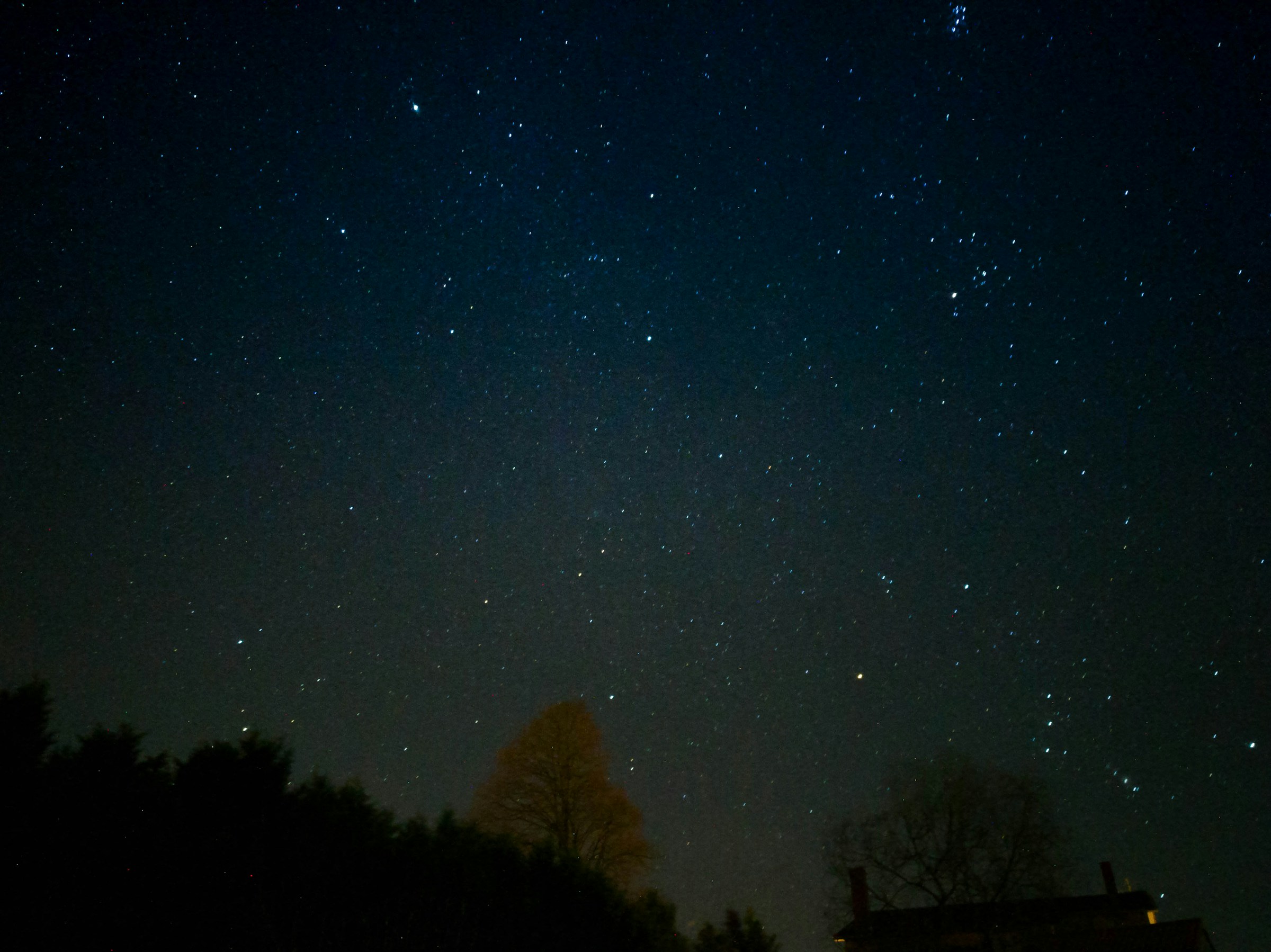 Stargazing in Nyungwe | A Nocturnal Experience